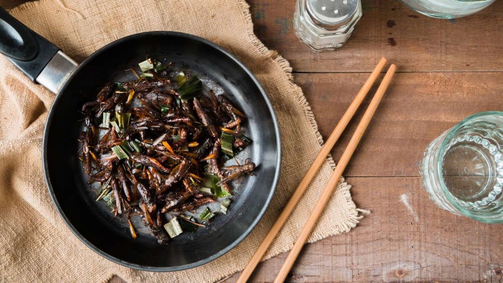 Insekten essen zur Proteinversorgung | evidero