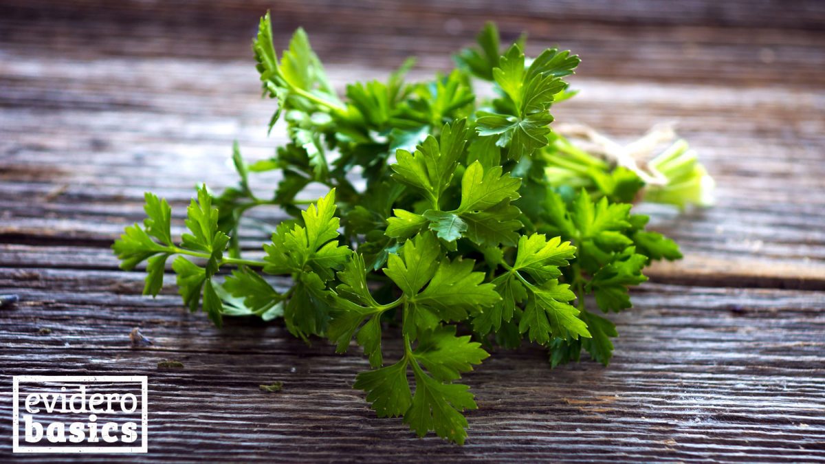 Das Küchenkraut Petersilie als Heilpflanze | evidero