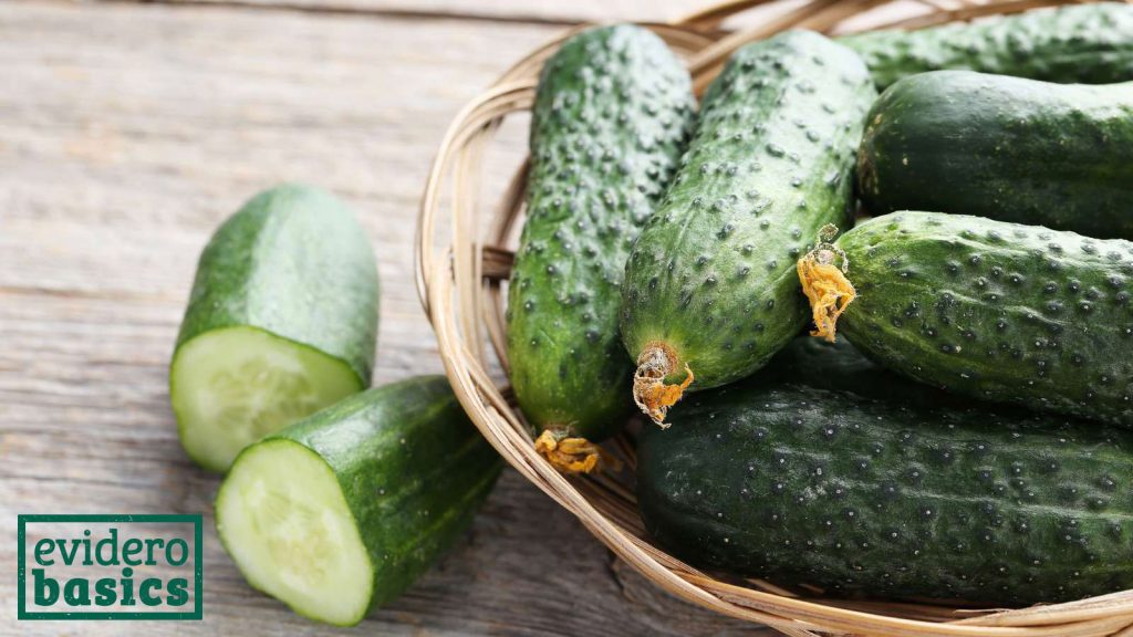 Gurke besteht vor allem aus Wasser und hilft der Verdauung | evidero