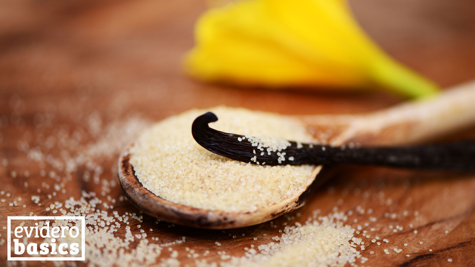 Ist Vanille gesund? | evidero
