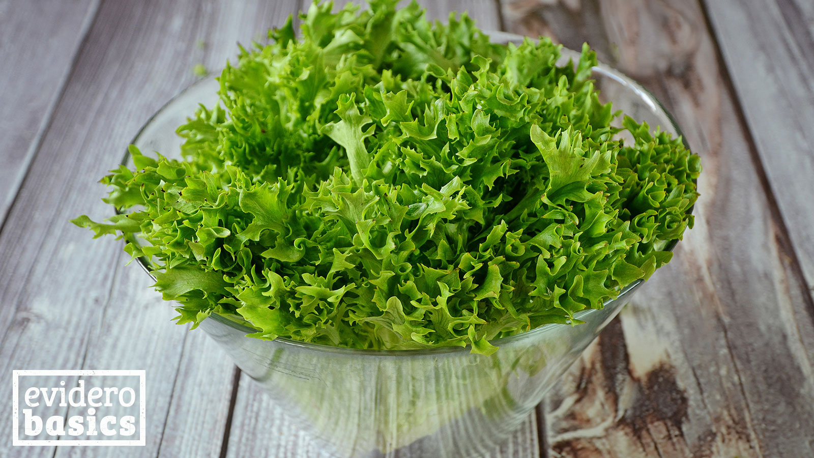 Endivie ist ein gesunder Salat für Herbst und Winter | evidero